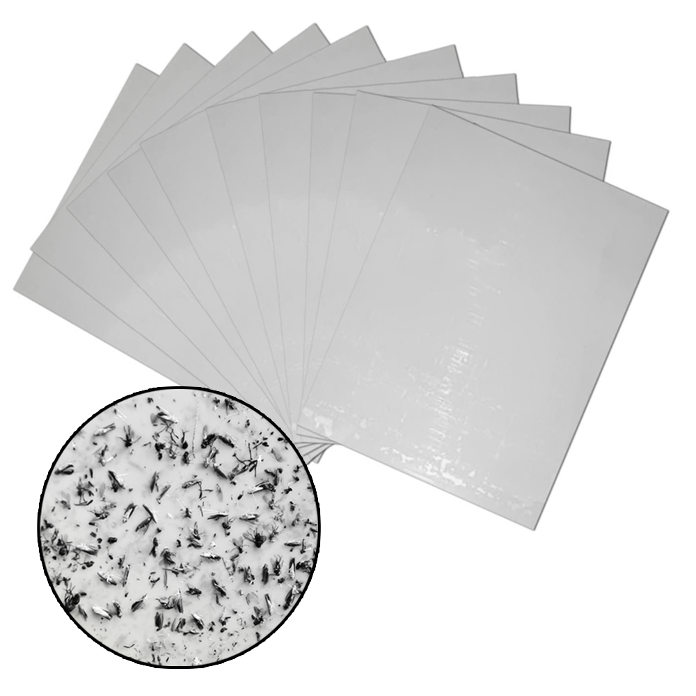 Fly-trap Glue Boards - single sided – Ultrablitz